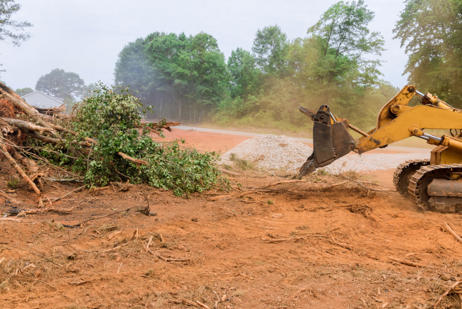 5 Benefits of Professional Lot Clearing for Homeowners | Doss Tree Service